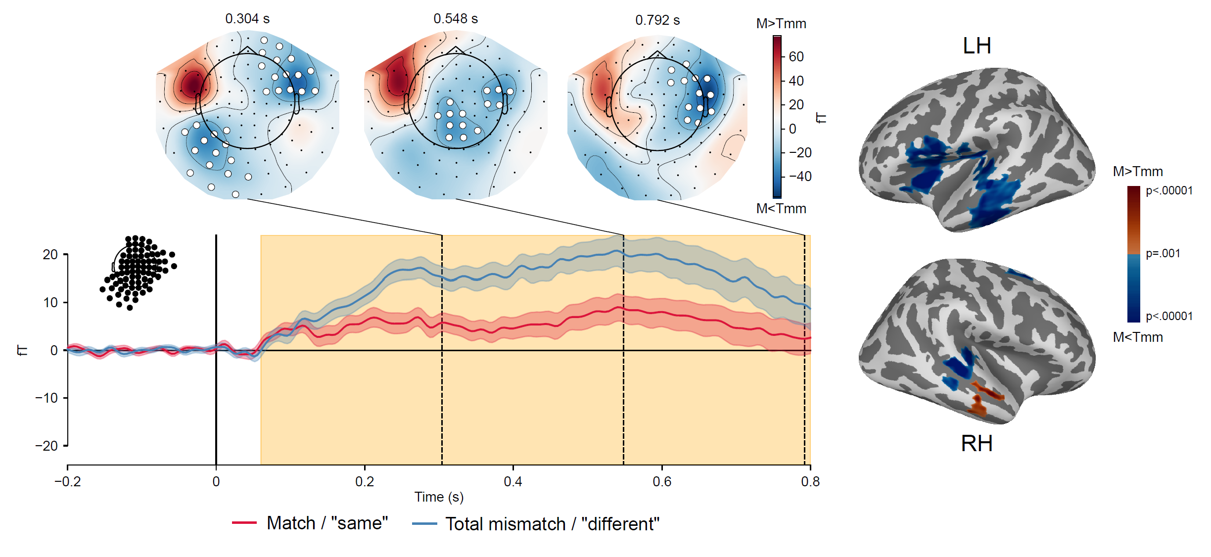 How the brain combines prior expectations with heard speech during ...
